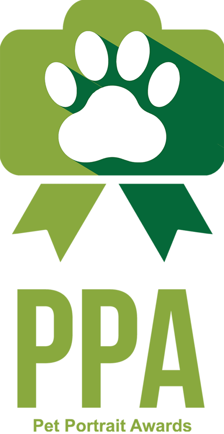 PPA-logo-small | Zoom Photography Studio